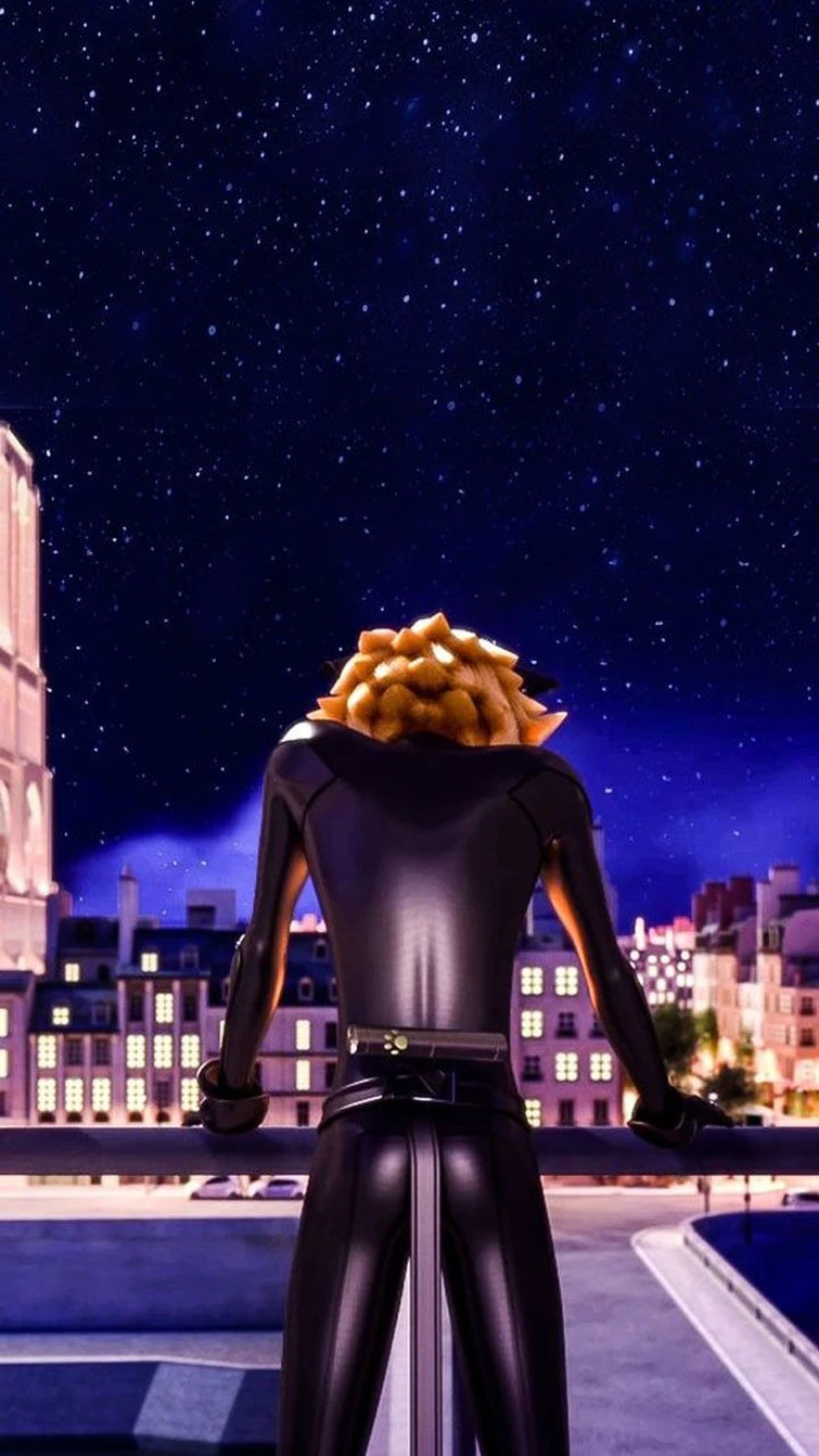 Cat noir??? | Fandom