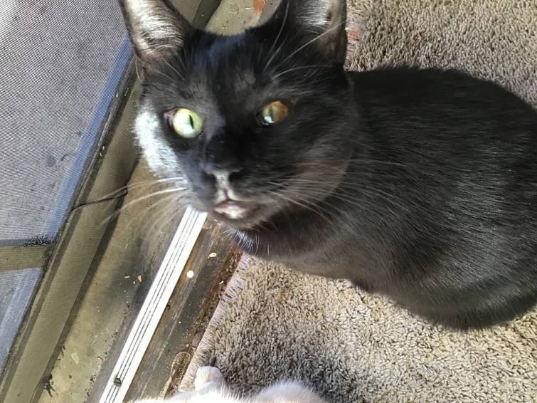 Colours colours | Fandom