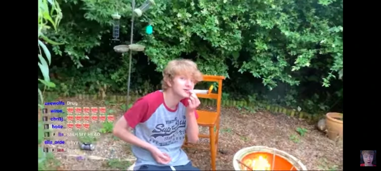 Give me your insane screenshots from DSMP YouTubers | Fandom