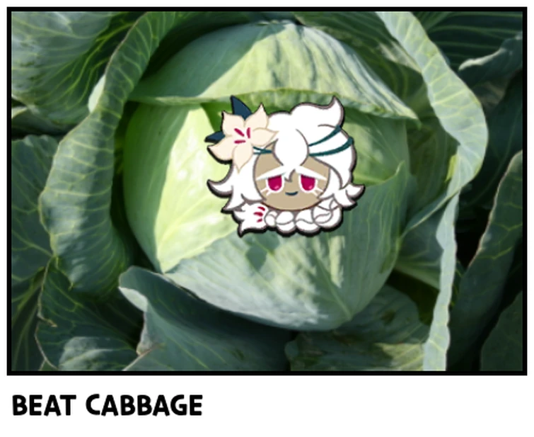 I like the 'salad' meme with Sorbet, | Fandom