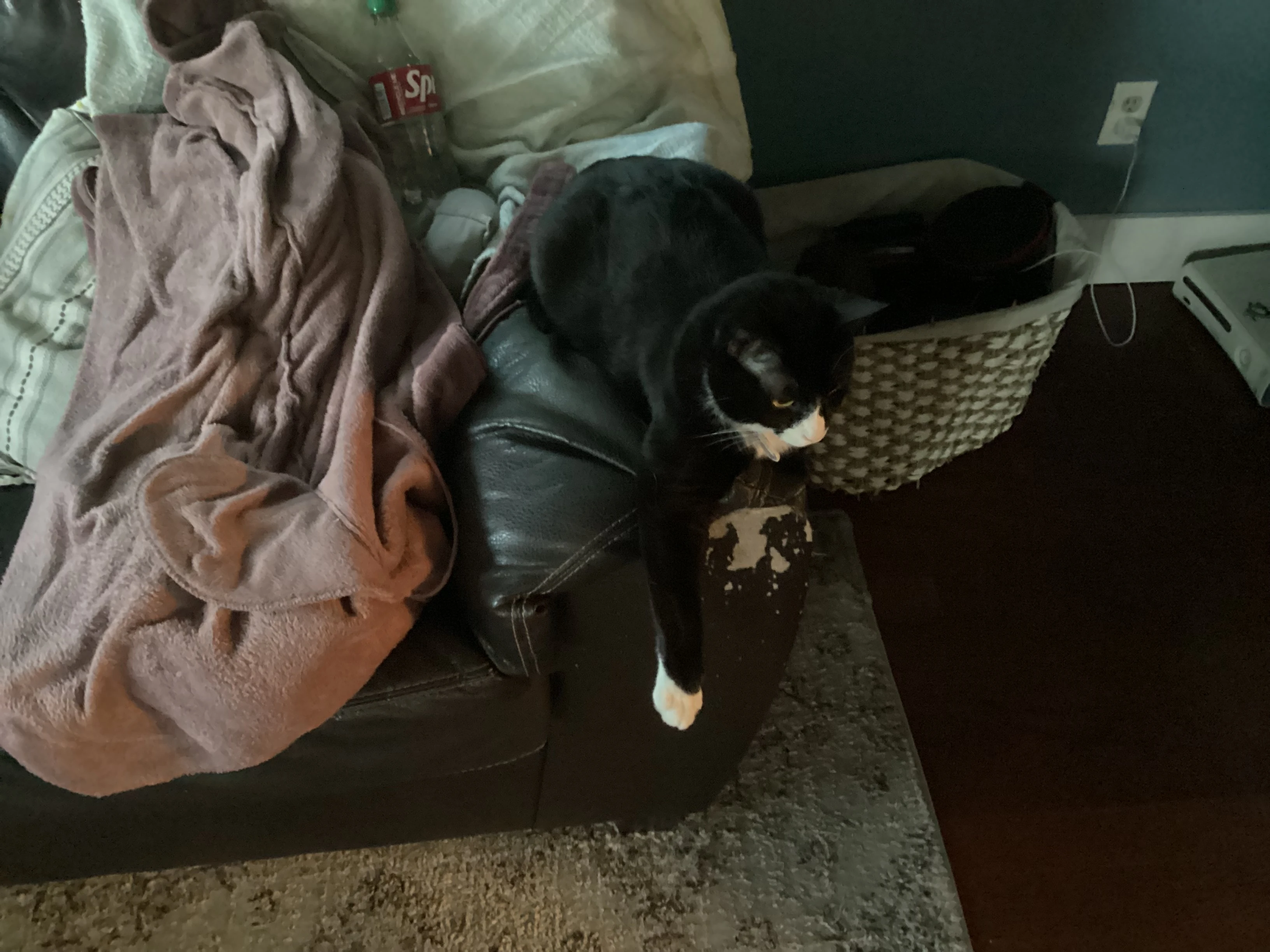 And this position is what we call “chillin” | Fandom