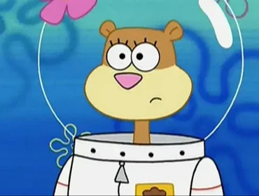 Which Of These Three Hero Wiki's Do You Think Fit Best For Sandy Cheeks ...