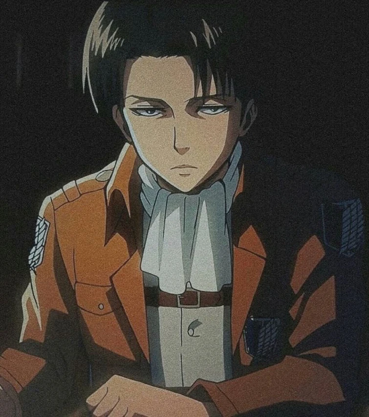 Discuss Everything About Attack on Titan Wiki | Fandom