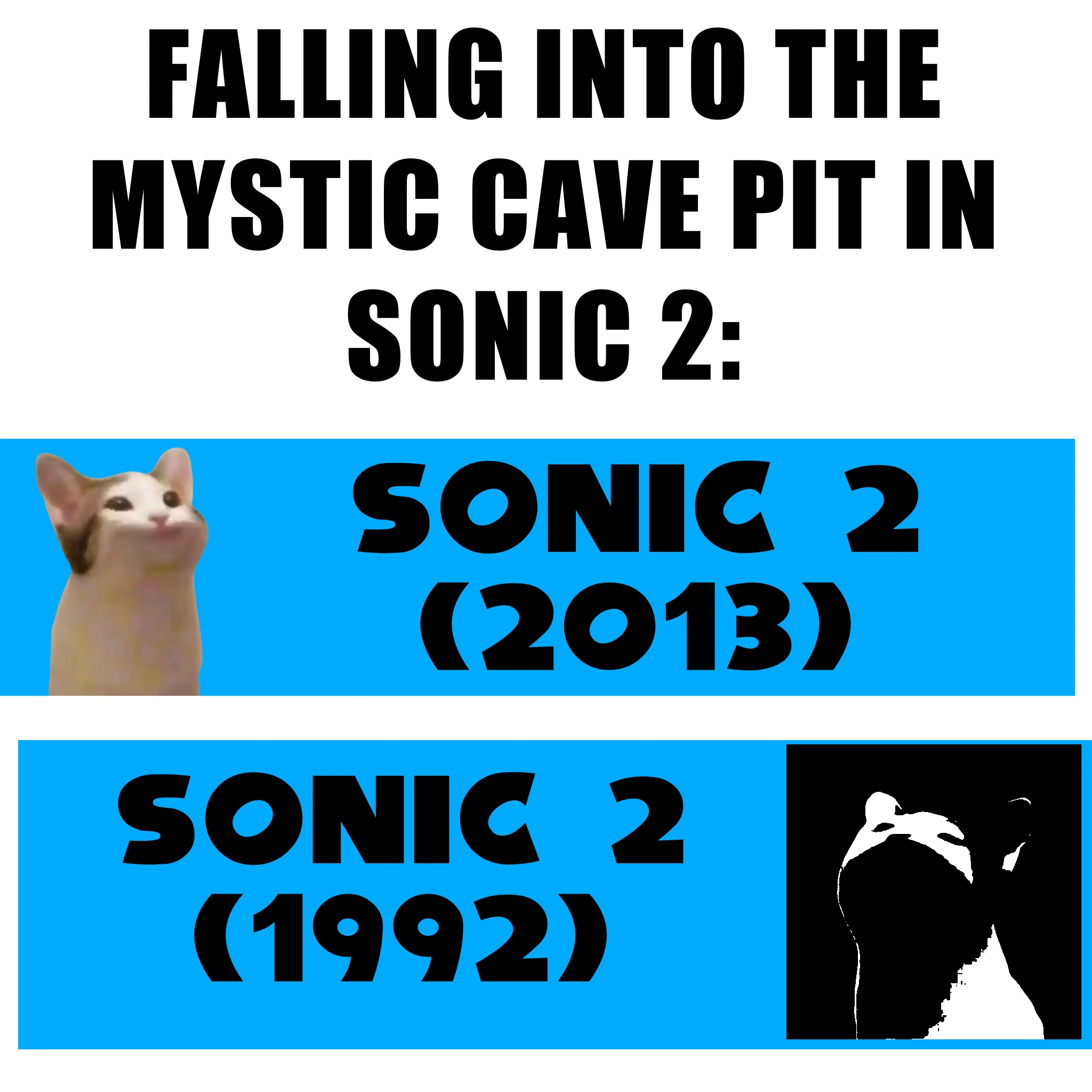Sonic 2 Meme: | Fandom