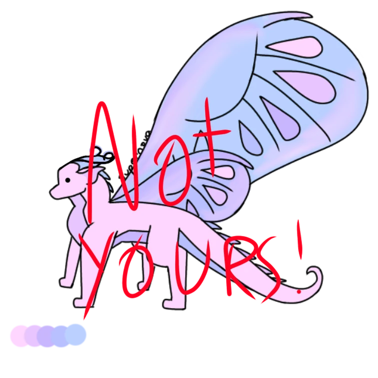 Silkwing + ice/night raffle! [closed] | Fandom