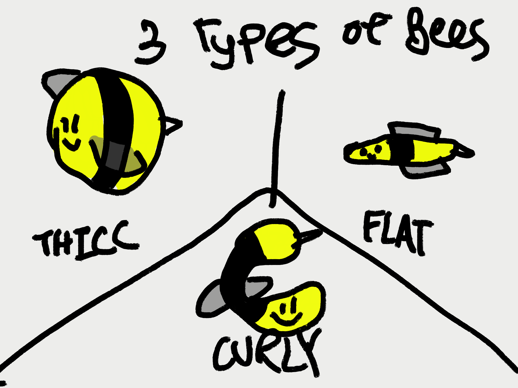 The 3 Types Of Bees | Fandom
