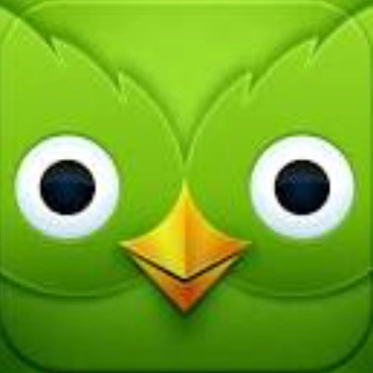 Cant help to notice that this was Duolingo's 2013 icon | Fandom