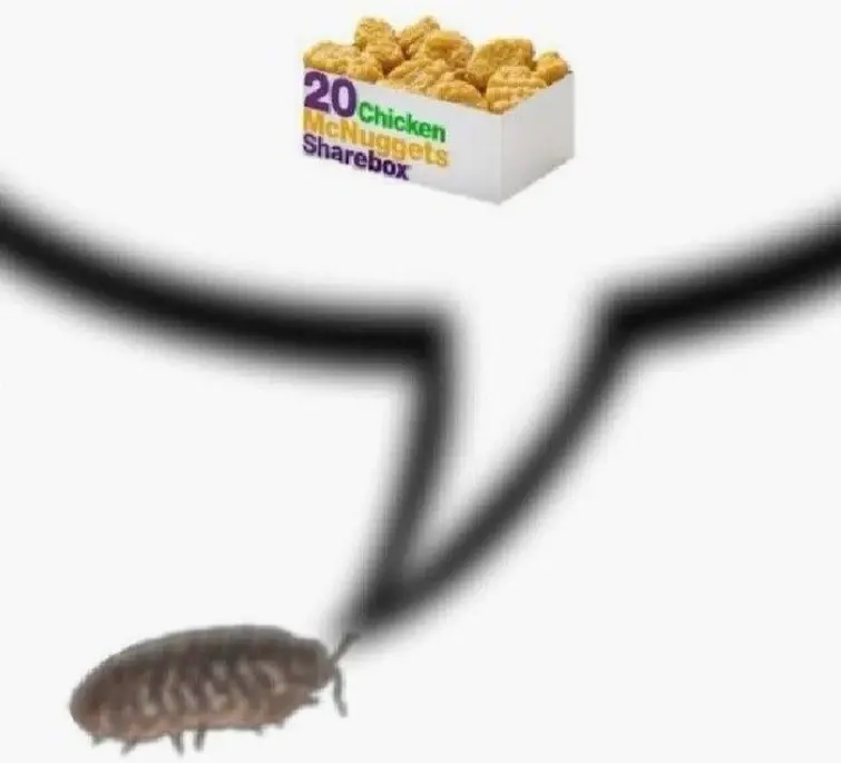 Discuss Everything About Tower Defense X Wiki | Fandom