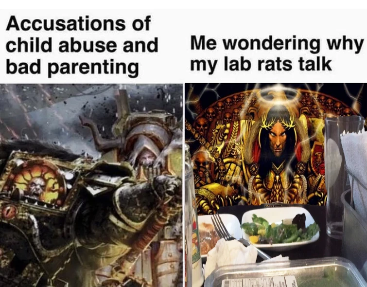 Bad cat meme | Fandom