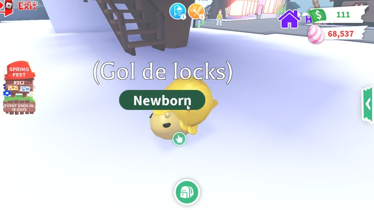 Discuss Everything About Adopt Me! Wiki | Fandom