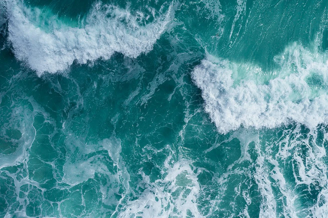 What did the ocean say to the other ocean? | Fandom
