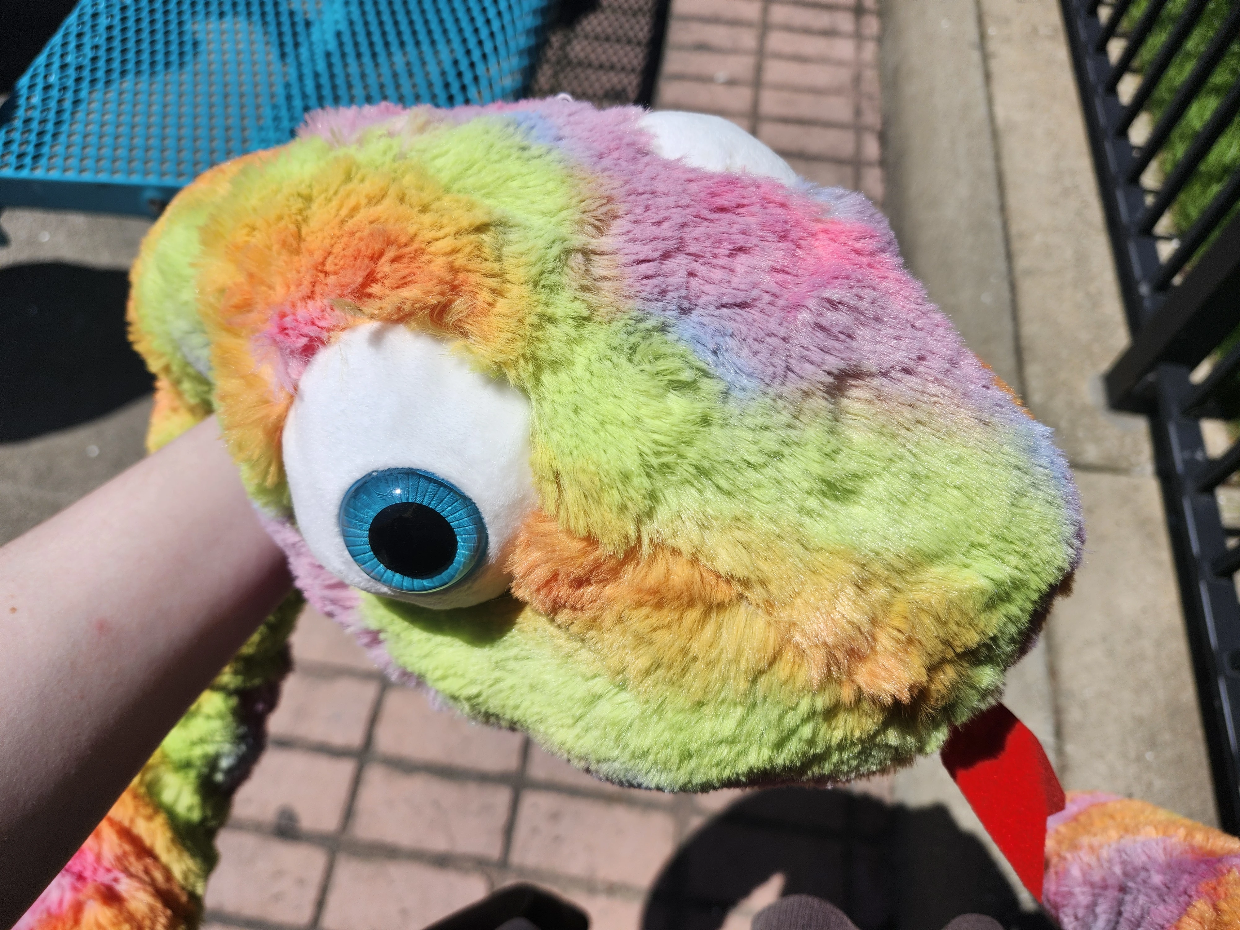 Wiki say hello to Maurice :3 | Fandom