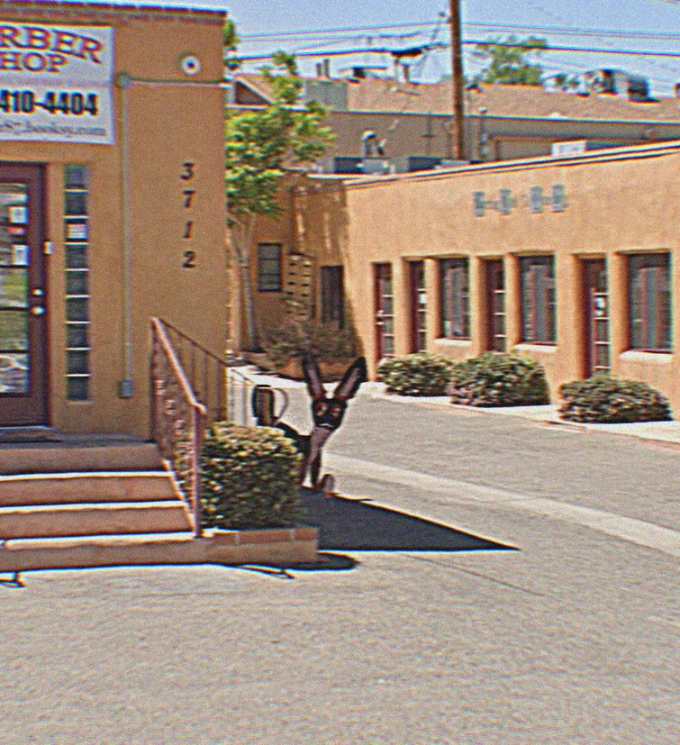 Discuss Everything About Creatures of Sonaria Wiki | Fandom