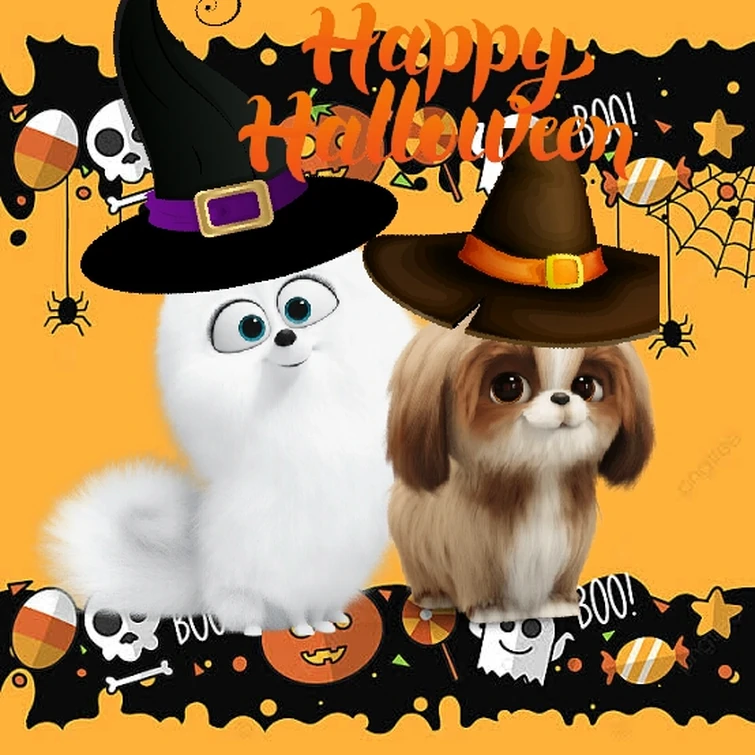 Happy Halloween to you!🎃 | Fandom