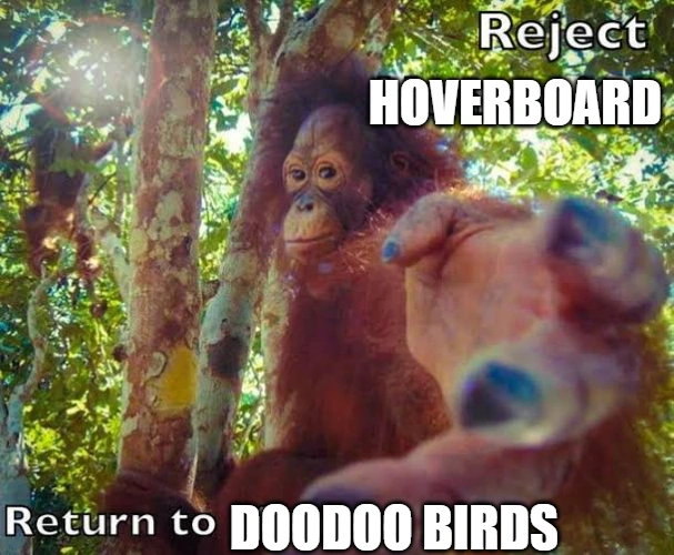 No Cap meme | Fandom