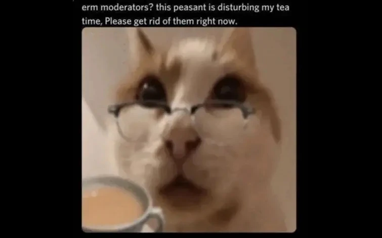 Trying out something | Fandom