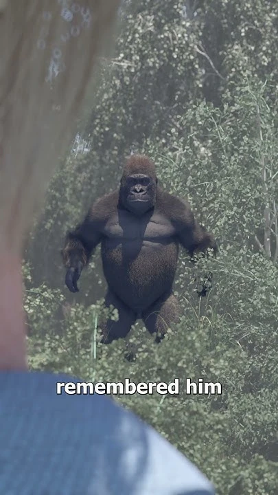 finally a zackdfilms short that's actually wholesome and not brutal or ...