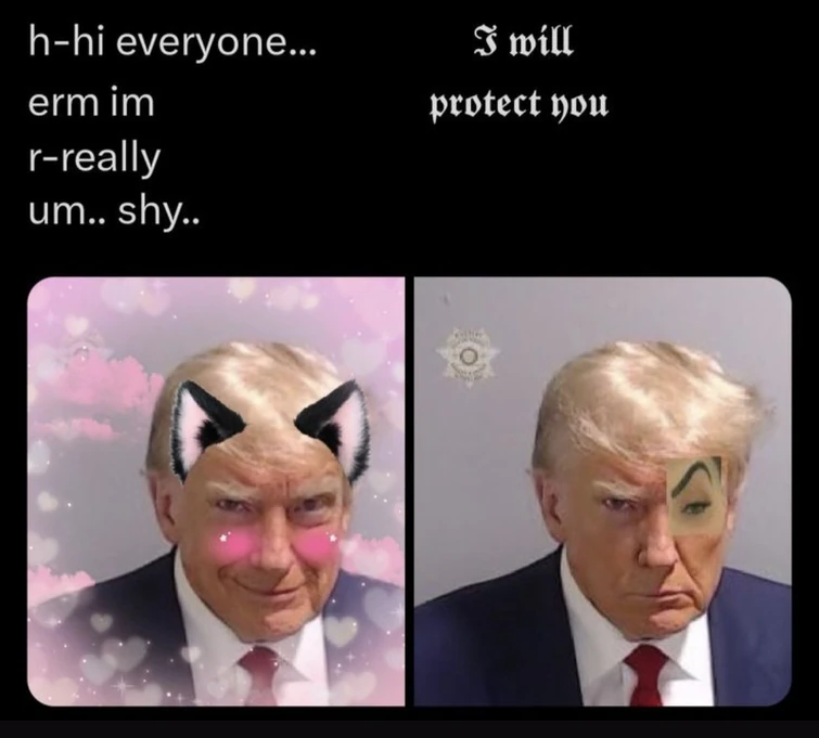 my sense of humour is so broken why is this peak comedy to me | Fandom