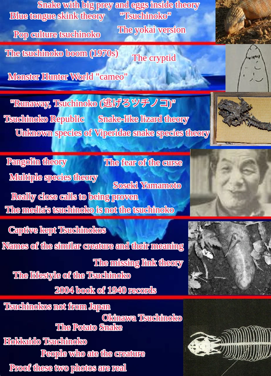 The tsuchinoko iceberg | Fandom