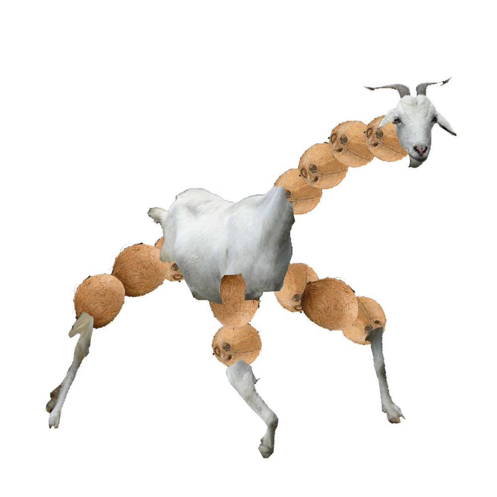 cocogoat or something, i don't know i don't play genshin impact | Fandom