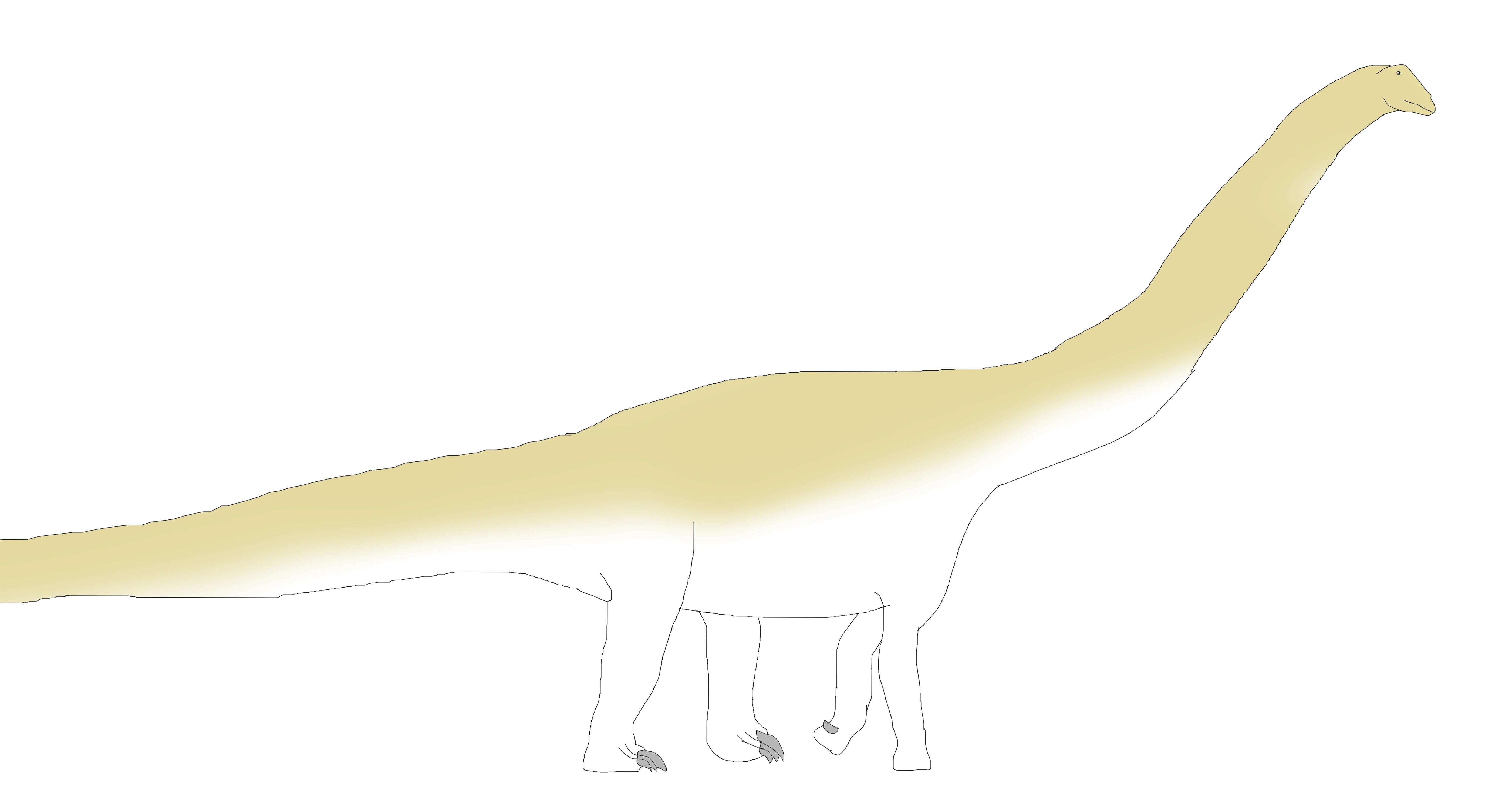 BFDI Native Faunas: The Diplodocus | Fandom