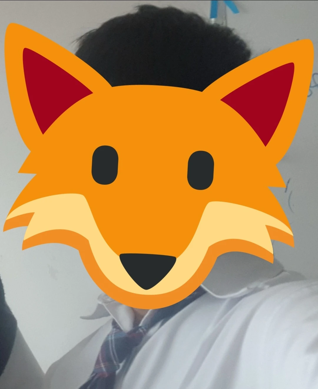 Face reveal (Kinda) | Fandom