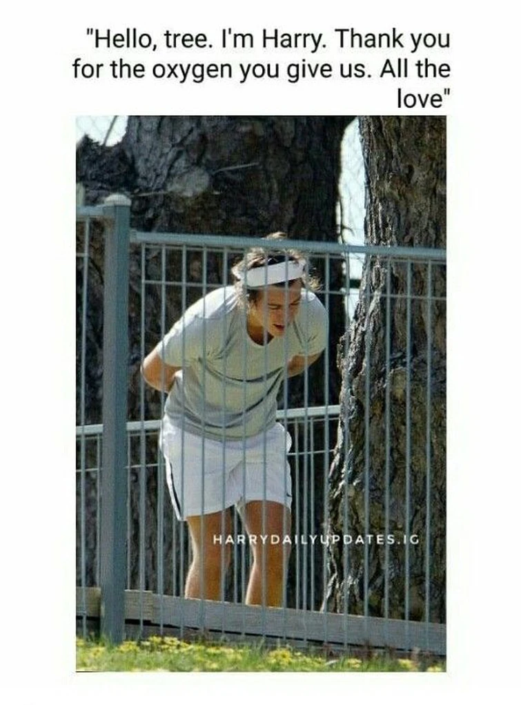 Discuss Everything About One Direction Wiki | Fandom