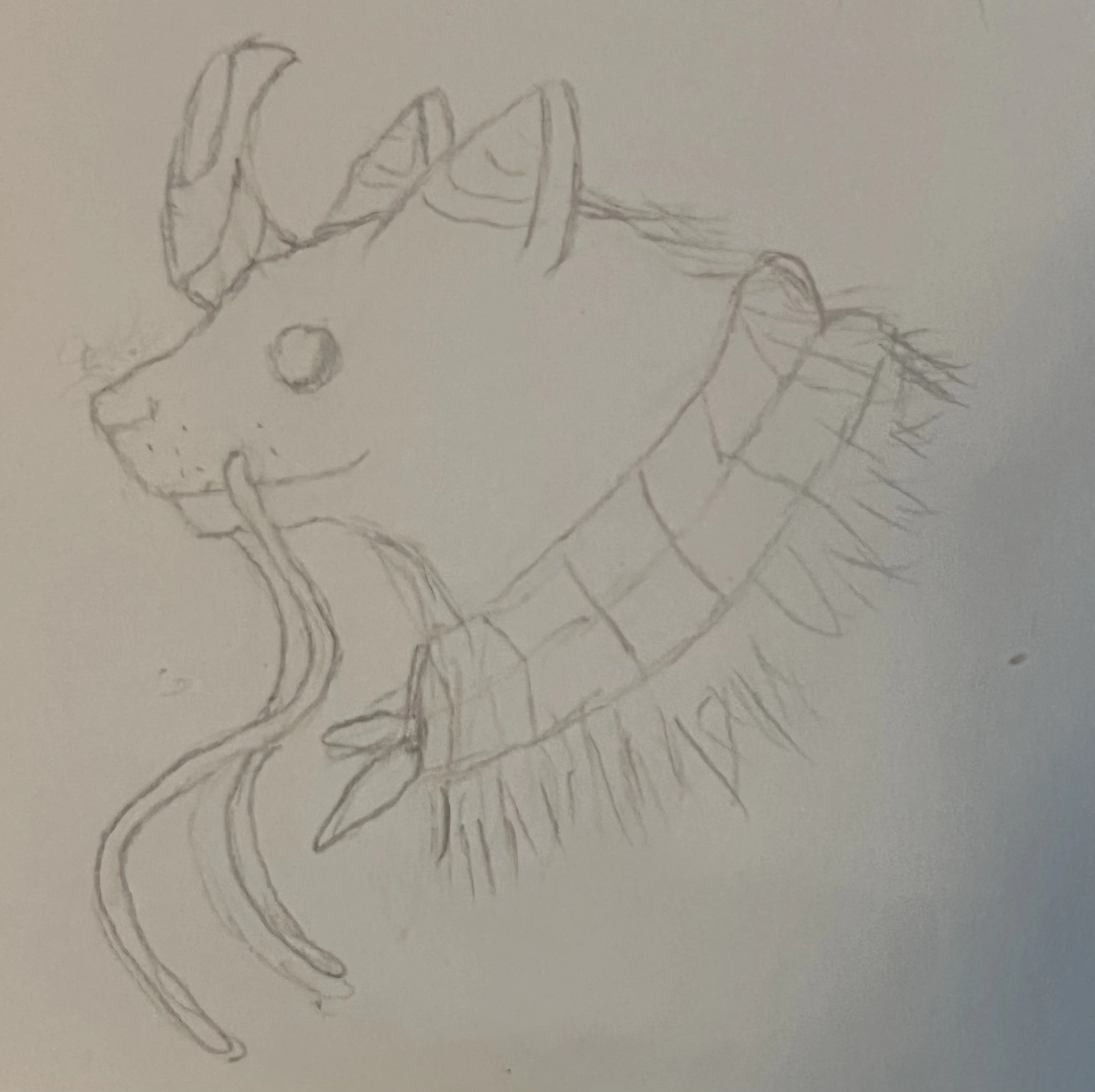 Paper sketch of Akako(the Skyrix as a cat) is finished! | Fandom