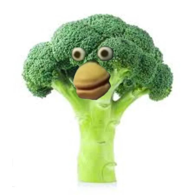 look at me I'm the average shai silly little goober post 😂😂😂😂😂😂😂😂😂😂😂😂😂😂 ...