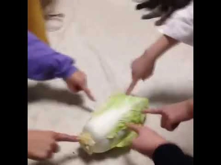 why did i think this was lettuce | Fandom