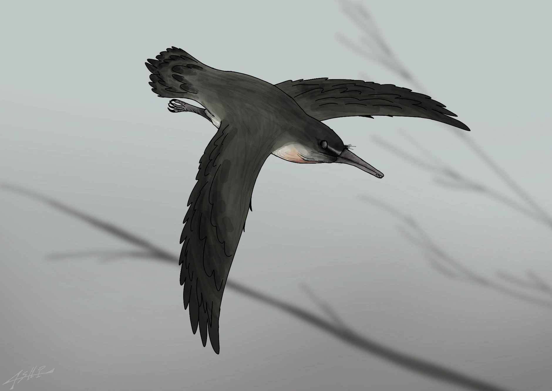 Longipteryx chaoyangensis drawing | Fandom