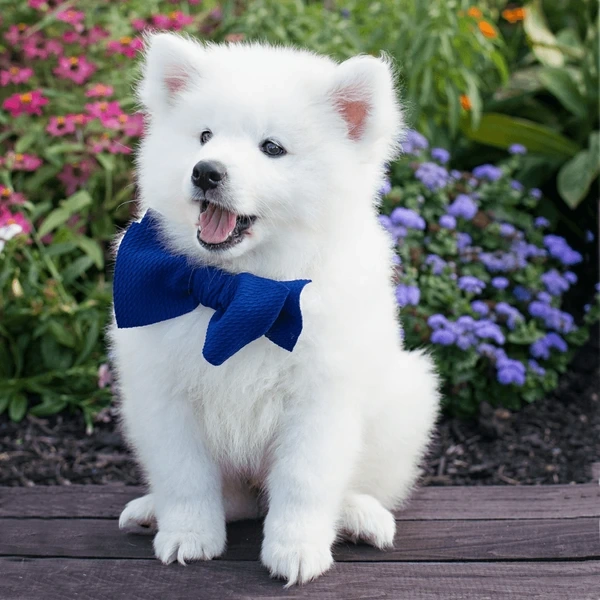 Kyran's Secret Admirer | Fandom