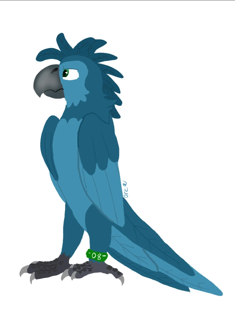 Make assumptions about my Rio oc | Fandom