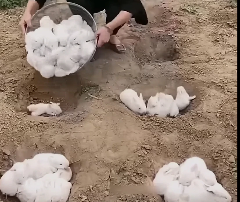 What in tarnation is happening here 😭😭 | Fandom