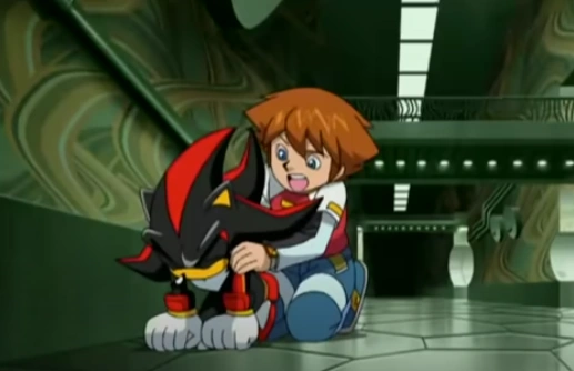 What happened to Shadow? (wrong answers only) | Fandom