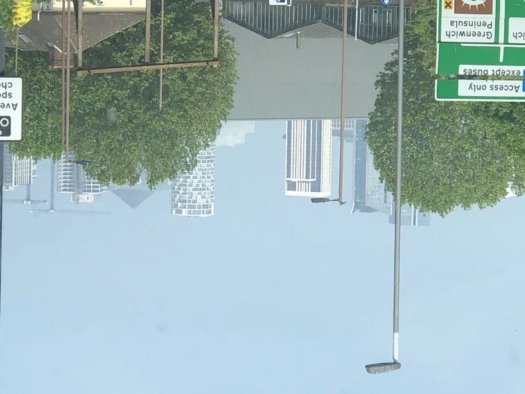 Discuss Everything About The Mimic Wiki | Fandom