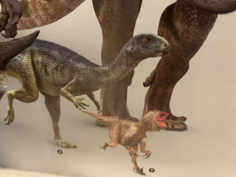 Discuss Everything About Dinopedia | Fandom