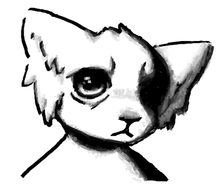 i love ms paint | Fandom