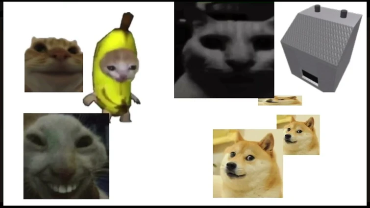 Boppity cat 6 released. | Fandom