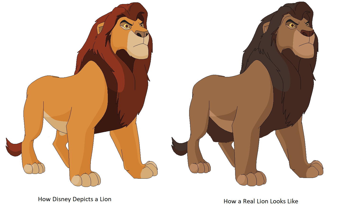 Disney Vs Real Life | Fandom