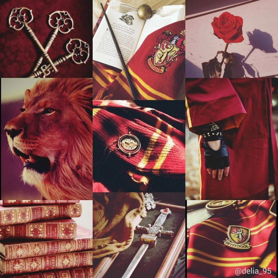 Gryffindor pride day! | Fandom