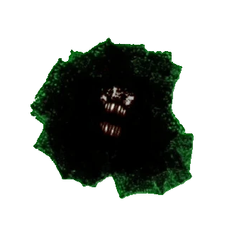 Ramiel + rush = Ramish | Fandom