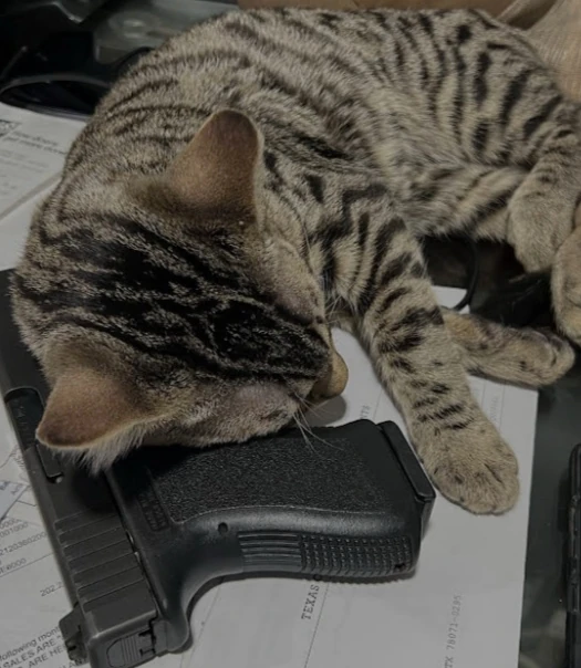 THE SAVIOUR HAS COME! | Fandom