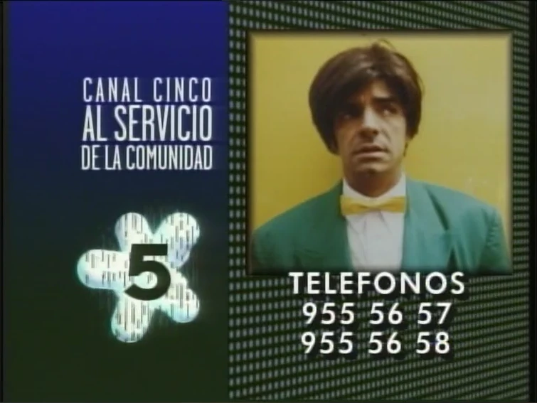 Acerca de las cápsulas de Servicio a la Comunidad de Canal 5 | Fandom