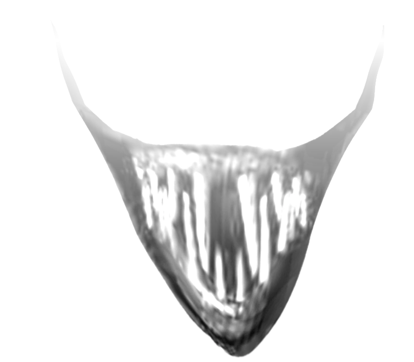 D section (the fake one) if it peaked even more | Fandom