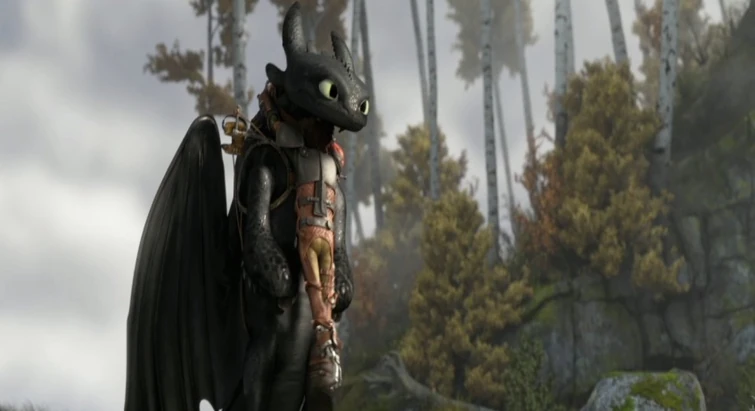 Hiccup And Toothless! | Fandom