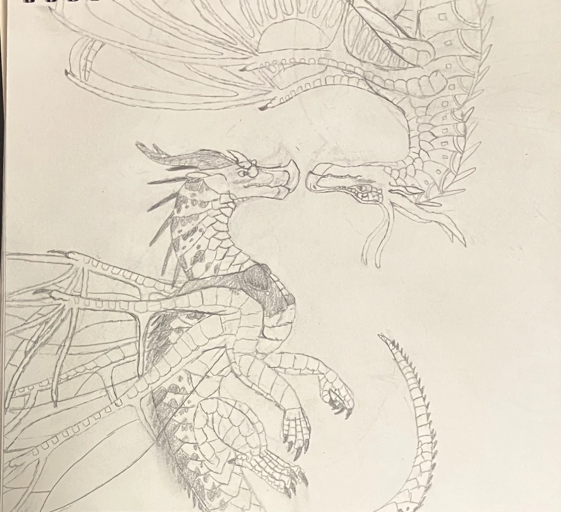 Blicket Art! | Fandom