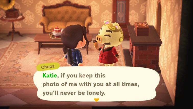 Discuss Everything About Animal Crossing Wiki | Fandom
