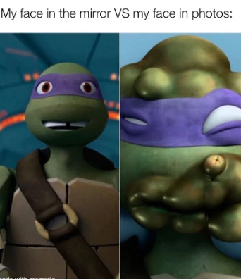 TMNT Meme Of The Day | Fandom
