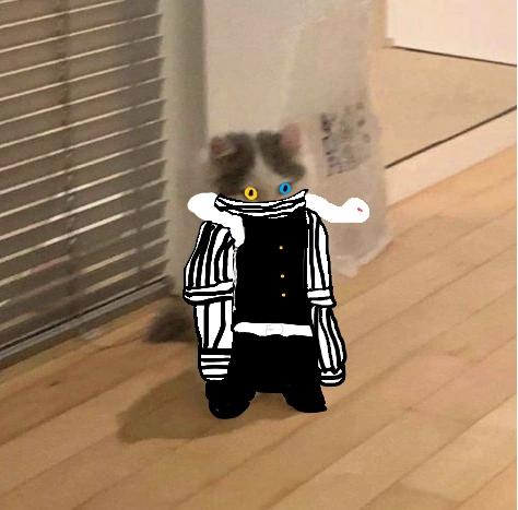 All the cat Hashiras I have done | Fandom